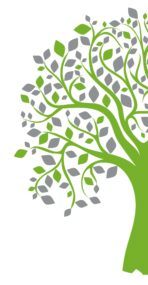 Our Memory Tree - Trinity Hospice