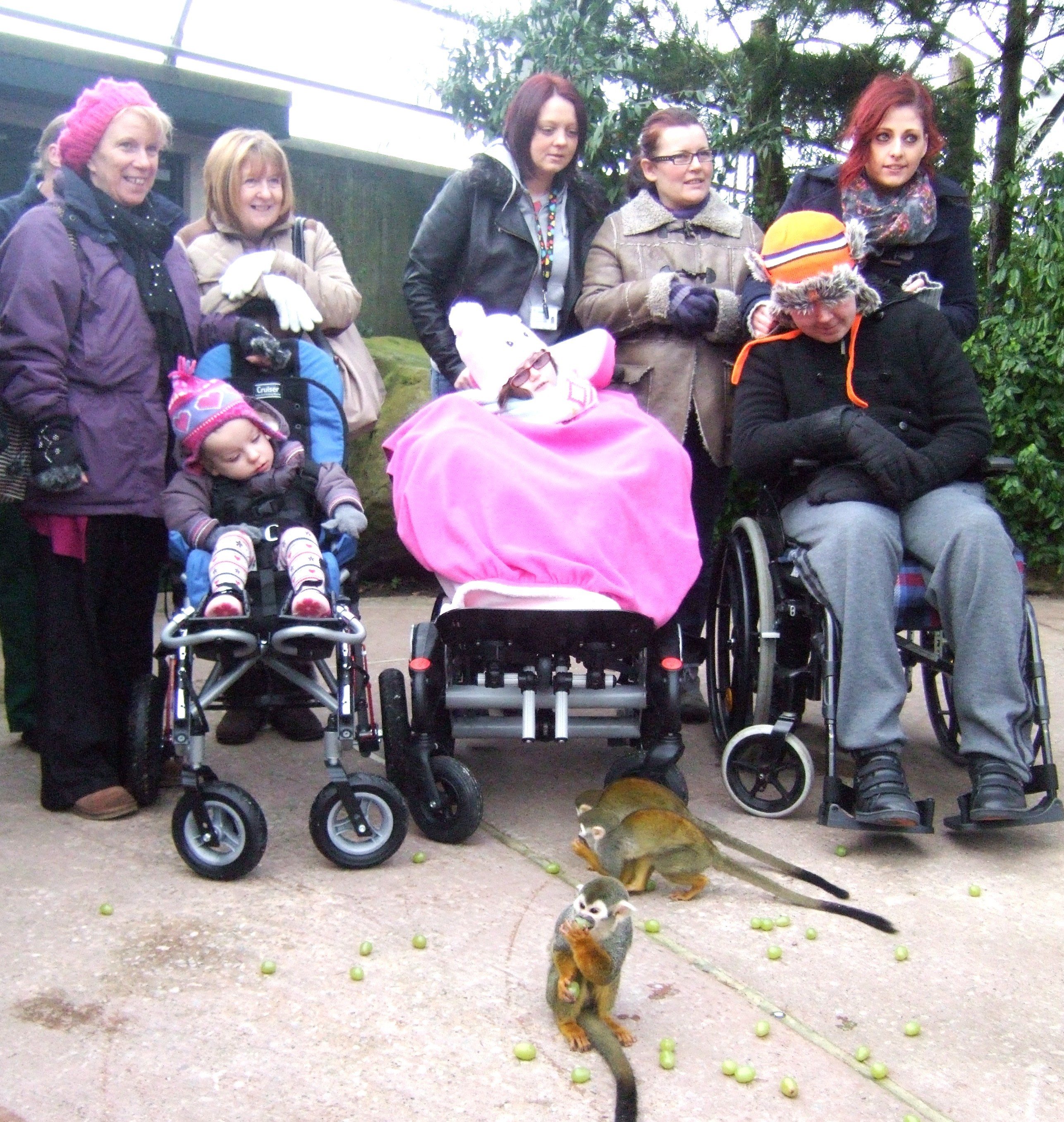 Brian House meet Brian the monkey - Brian House Children’s Hospice