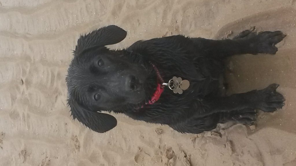 Claire-Frith-Lexi-Lou - Brian House Children’s Hospice